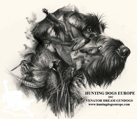 HUNTING DOGS EUROPE | The Stalking Directory