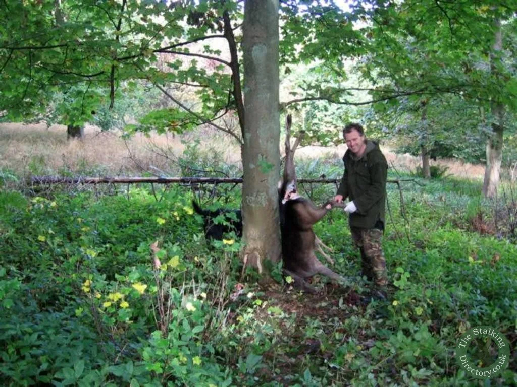 Brian & Humphrey | The Stalking Directory